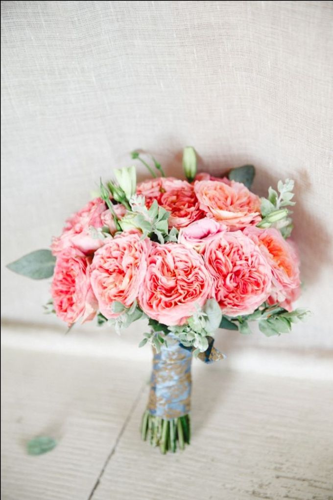 Breeze From Aegean Sea Theme | Tirtha Bali | Bridestory