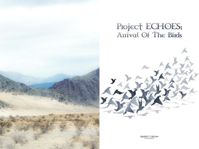 PROJECT ECHOES: Arrival Of The Birds | Daddy Tjeuw Photo | Bridestory