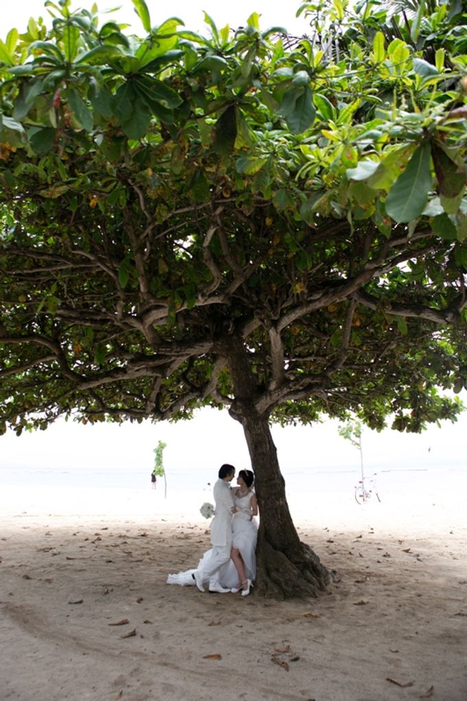 LAU HOI LUN & WANG LI HUA | The Diamond Chapel | Bridestory