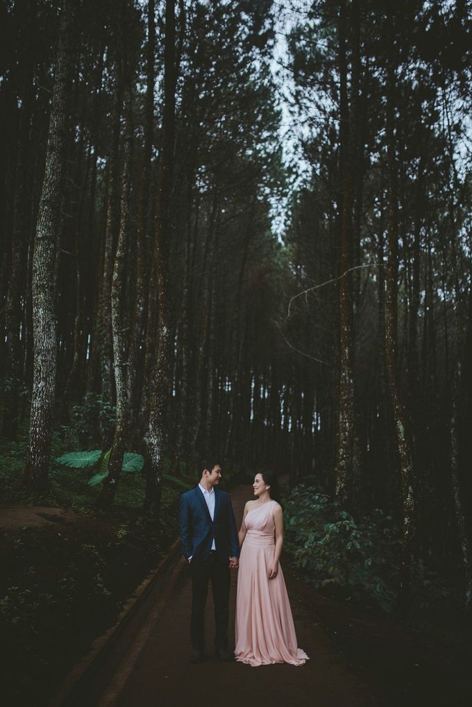 Pre wedding of alex & steffani | MORDEN | Bridestory