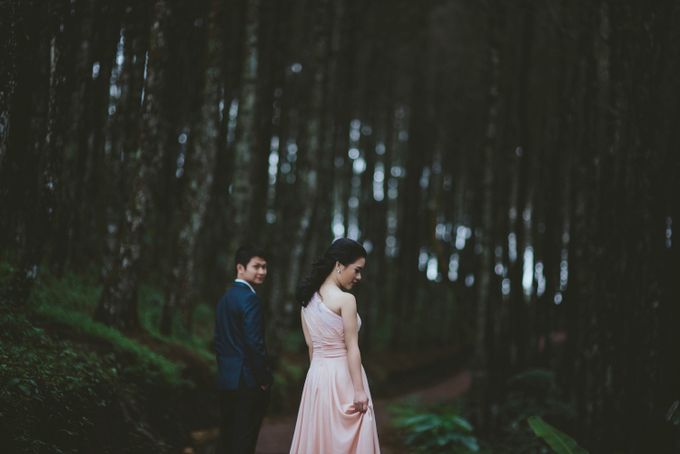 Pre wedding of alex & steffani | MORDEN | Bridestory