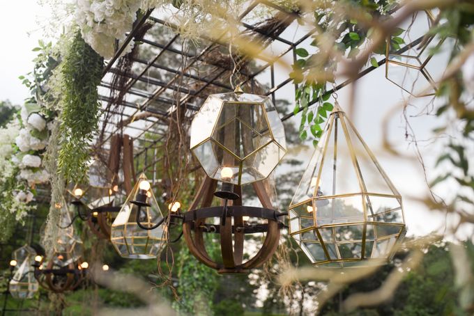 Ethereal Rustic Wedding | STEVE'S DECOR | Bridestory