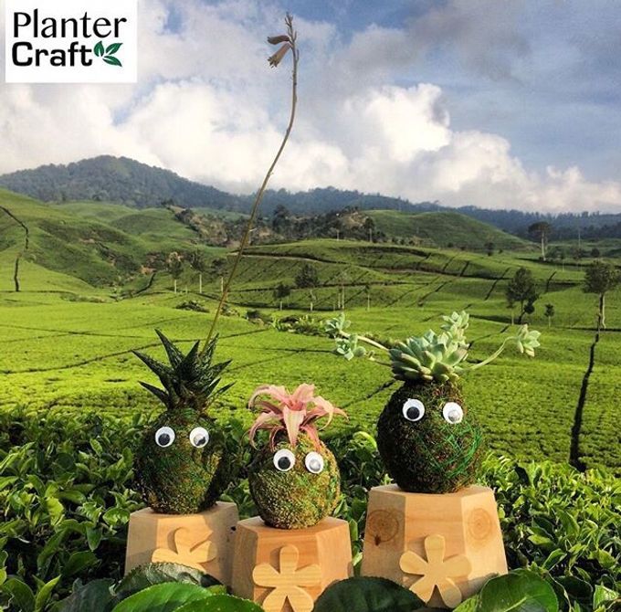 Planter Craft | Planter Craft | Bridestory