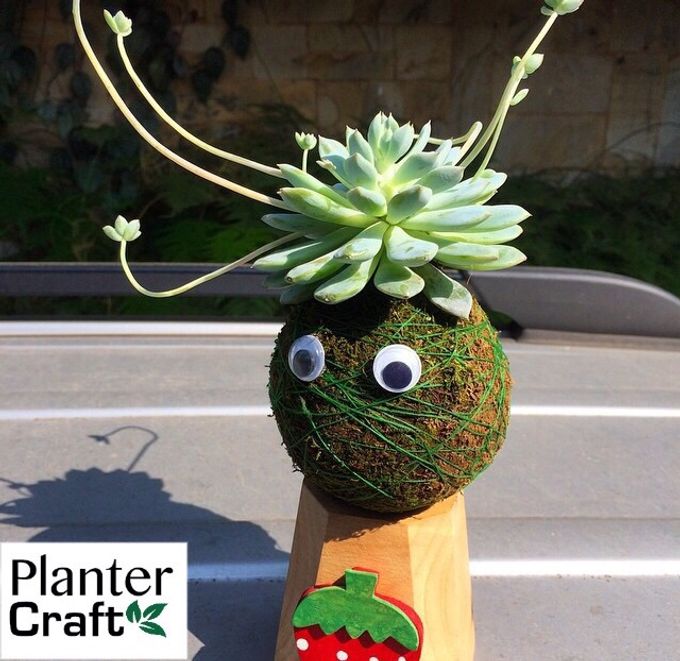 Planter Craft | Planter Craft | Bridestory