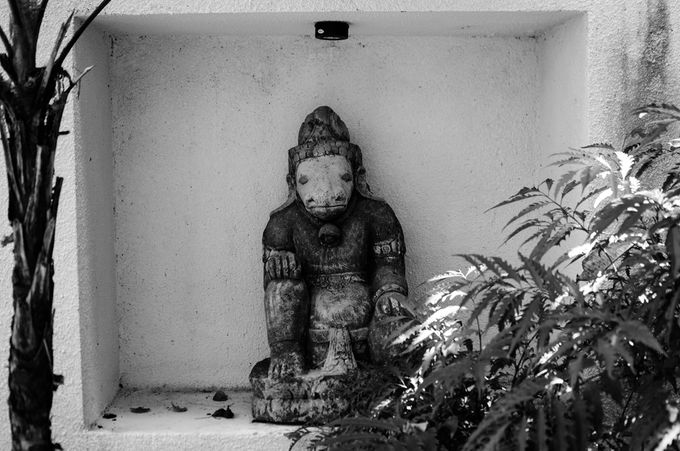 WEDDING MR & MRS IVY by TJANA PHOTOGRAPHY BALI | Bridestory.com