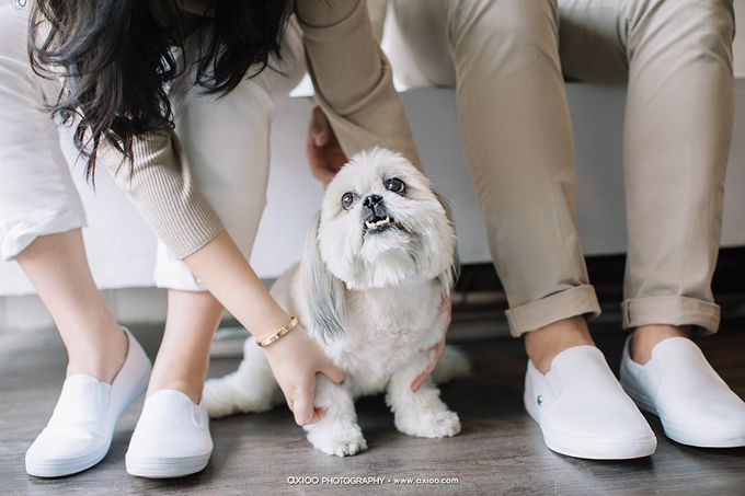 A Superman for Supergirl - Pre-Wedding of Michael & Nikita by David ...