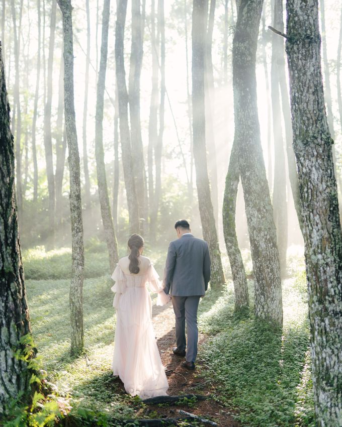 Michelle Robby | Pine Hill, Lembang by Bless Friday Photography ...