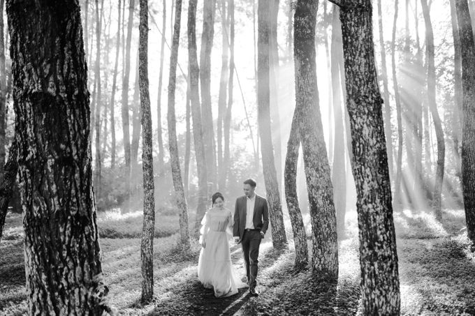 Michelle Robby | Pine Hill, Lembang by Bless Friday Photography ...