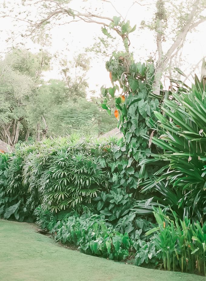 Briant & Wen | myweddbali | Bridestory