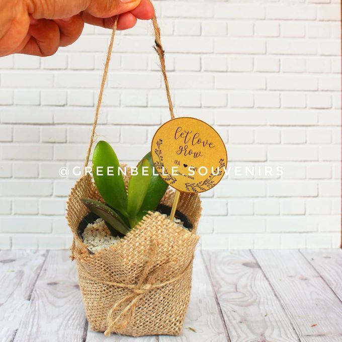 Wedding Of Ika & Dwi - Sukulen Buket Goni | Greenbelle Souvenir ...