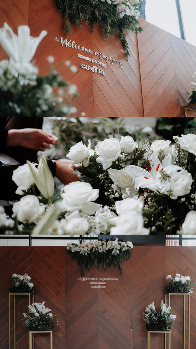 Grand Opening Kalpa Tree by Widuri House | Bridestory.com